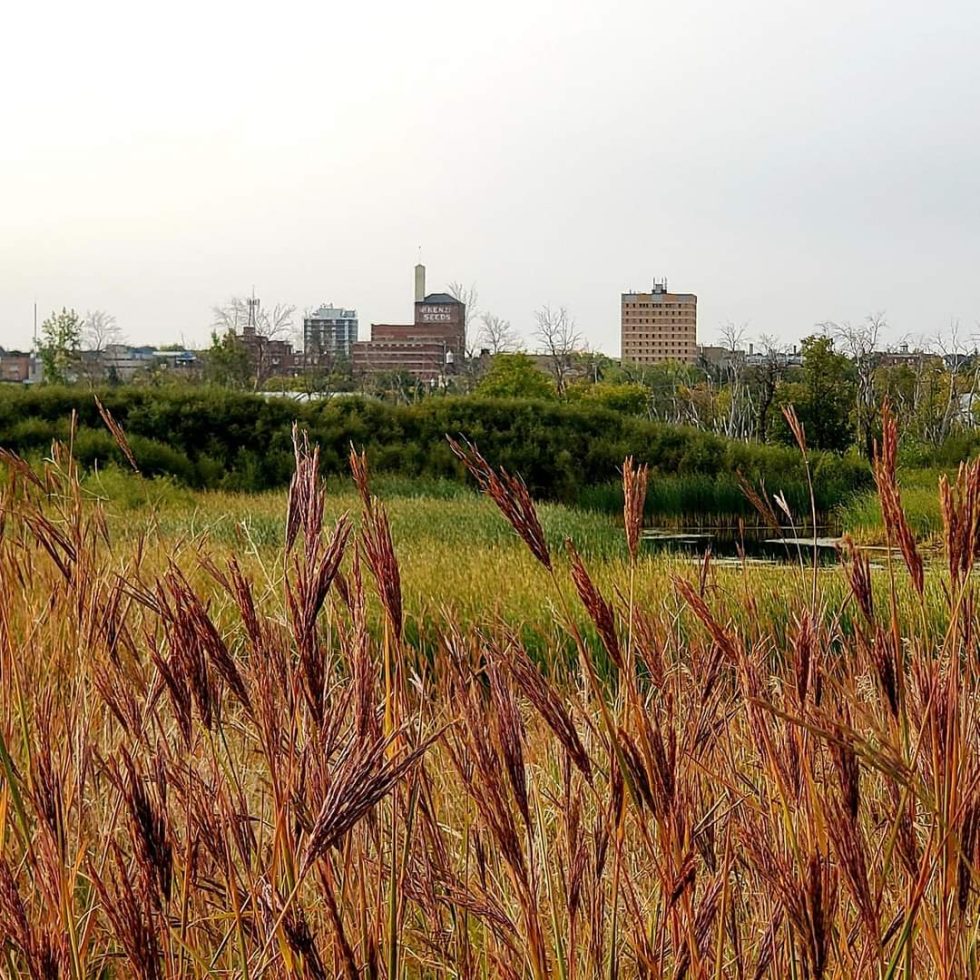 Brandon Area Community Foundation: Reflecting on Our 60th Anniversary ...